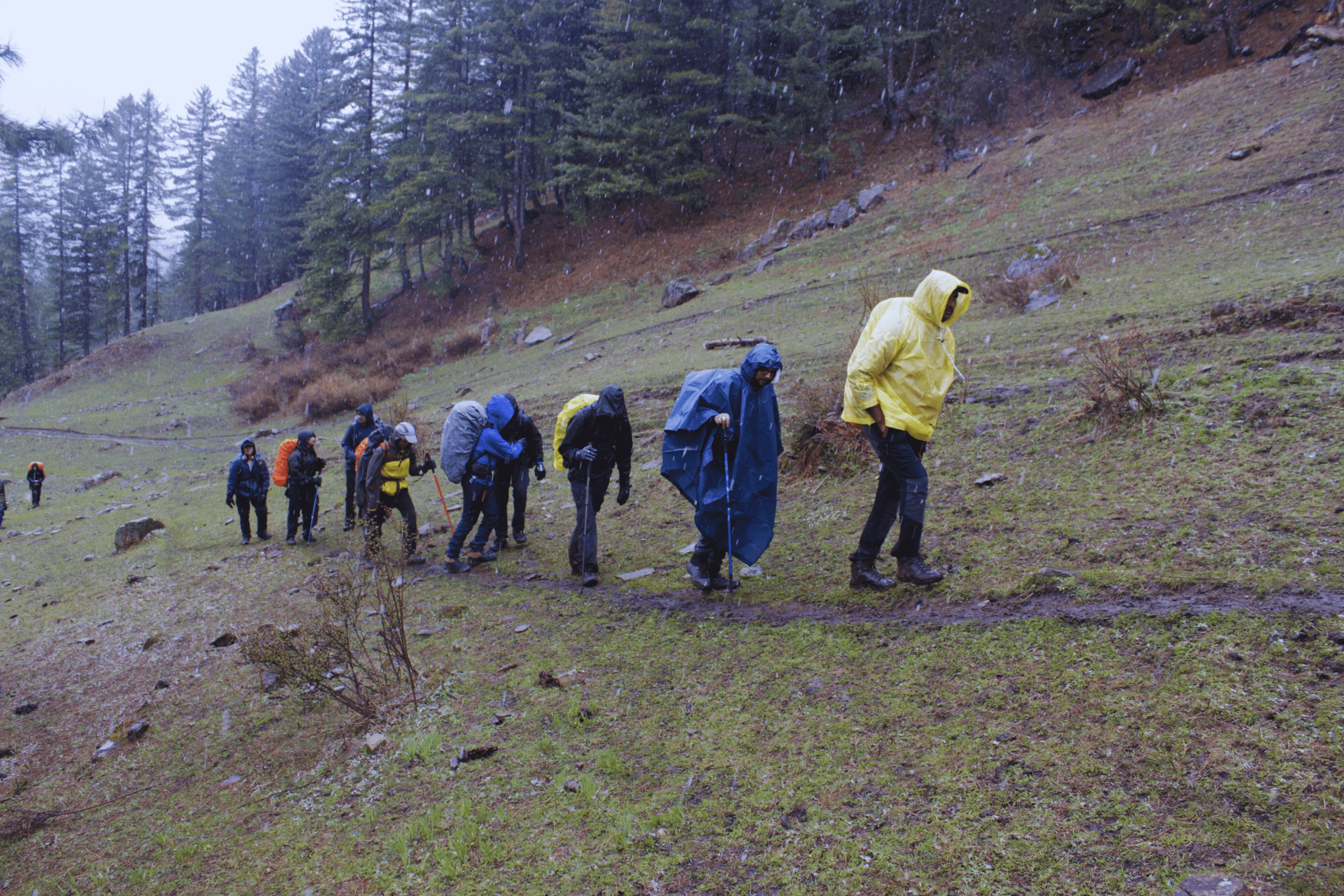 Chandranahan Lake Trek (4200 Mts) | Wanderin Man | Safest Trekking Trip ...