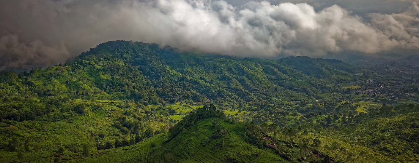 Dudhatoli Winter Trek (3043) | Wanderin Man | Safest Trekking Trip Organizer