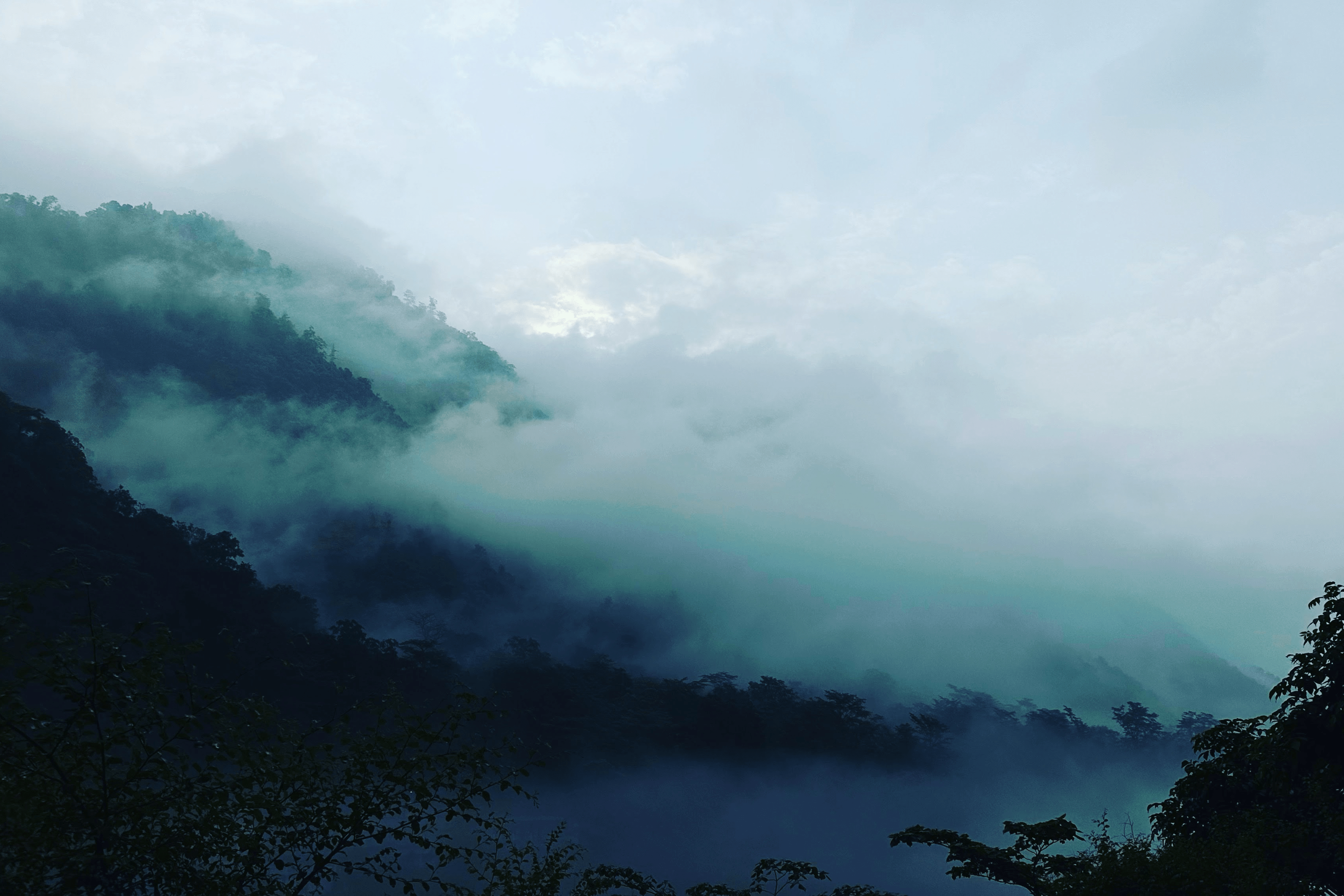 Dudhatoli Winter Trek (3043) | Wanderin Man | Safest Trekking Trip Organizer