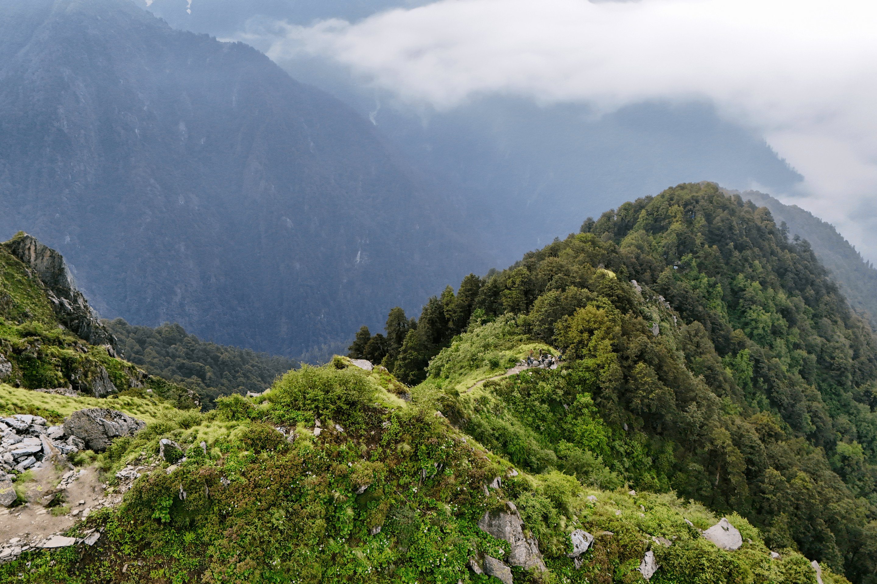 Dudhatoli Winter Trek (3043) | Wanderin Man | Safest Trekking Trip Organizer