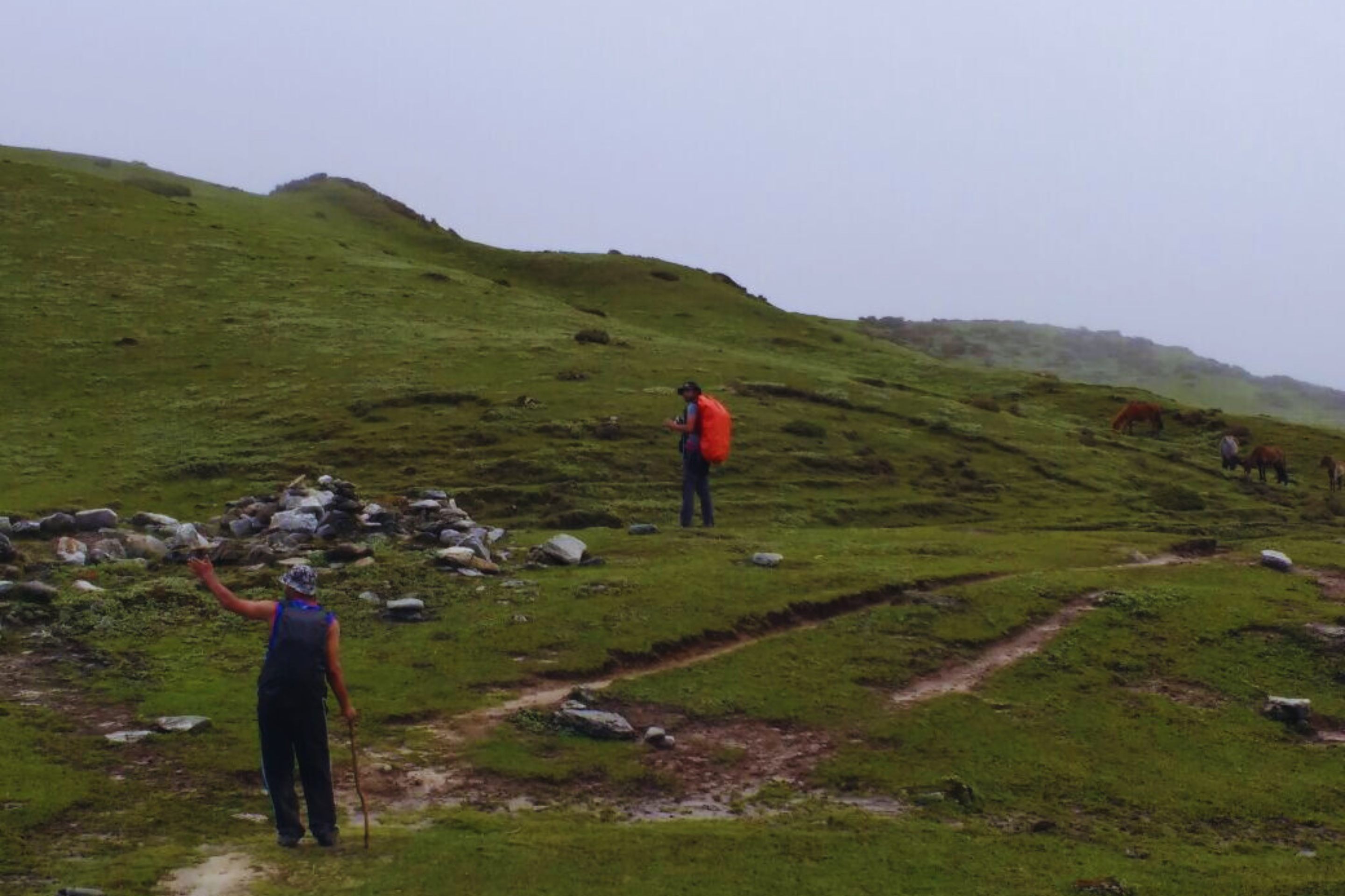 Goechala Trek (4600 Mts) 2025 - Explore the Himalayan Mountains ...