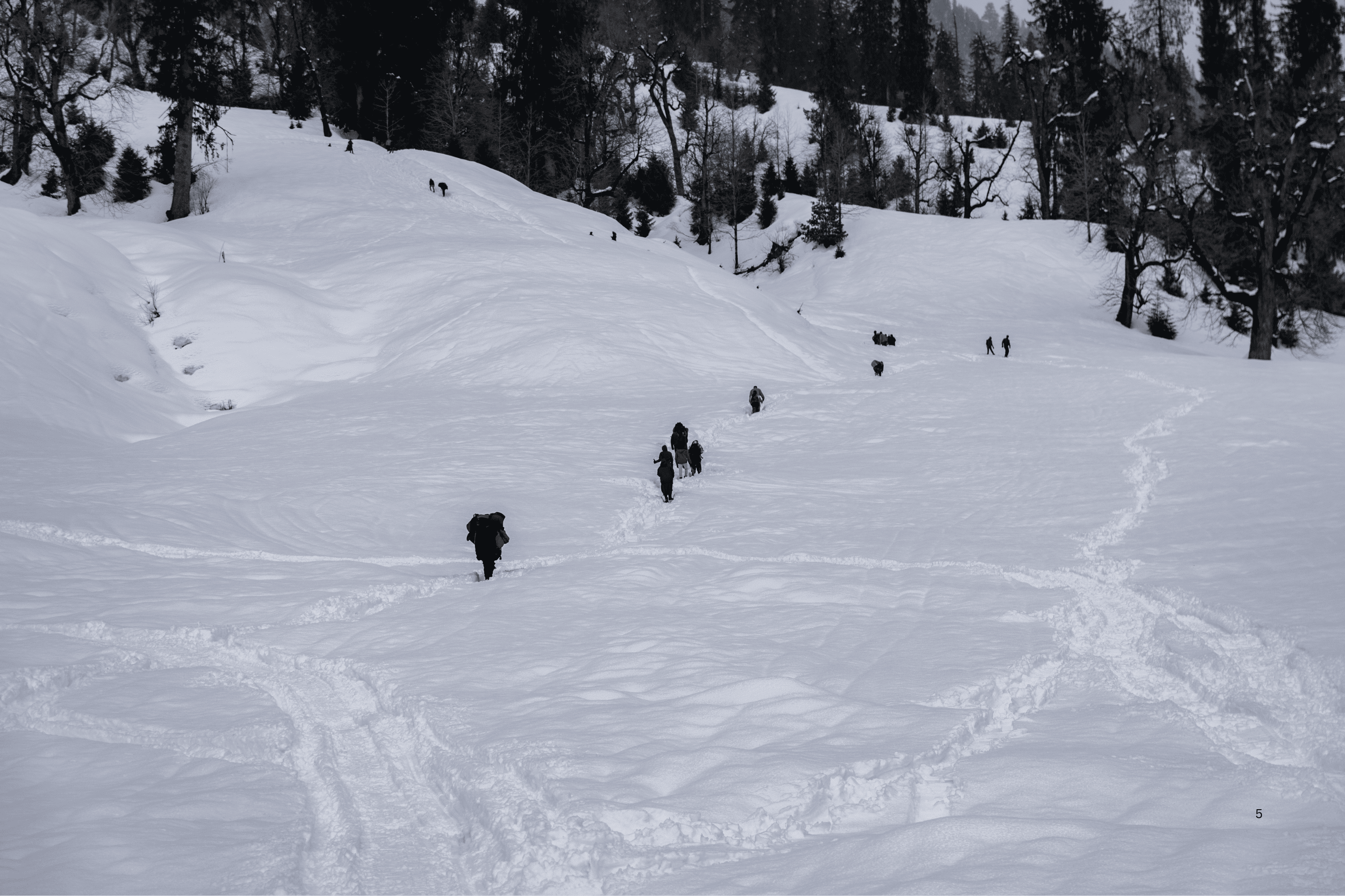 Patalsu Peak Trek in Manali | Beginner Himalayan Trek | Wanderin Man ...