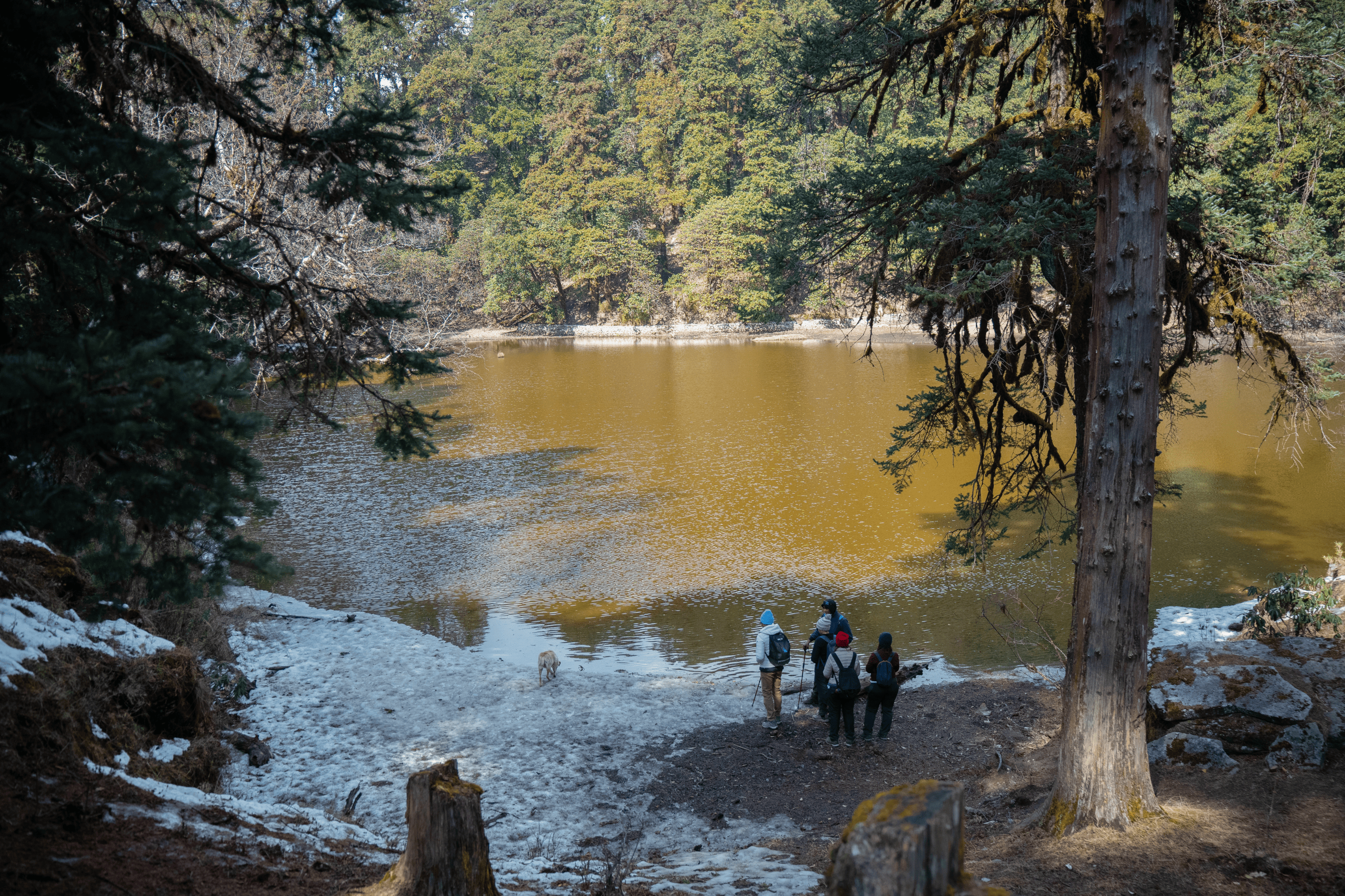 BrahmaTal Trek 2024 | Wanderin Man | Safest Trekking Trip Organizer