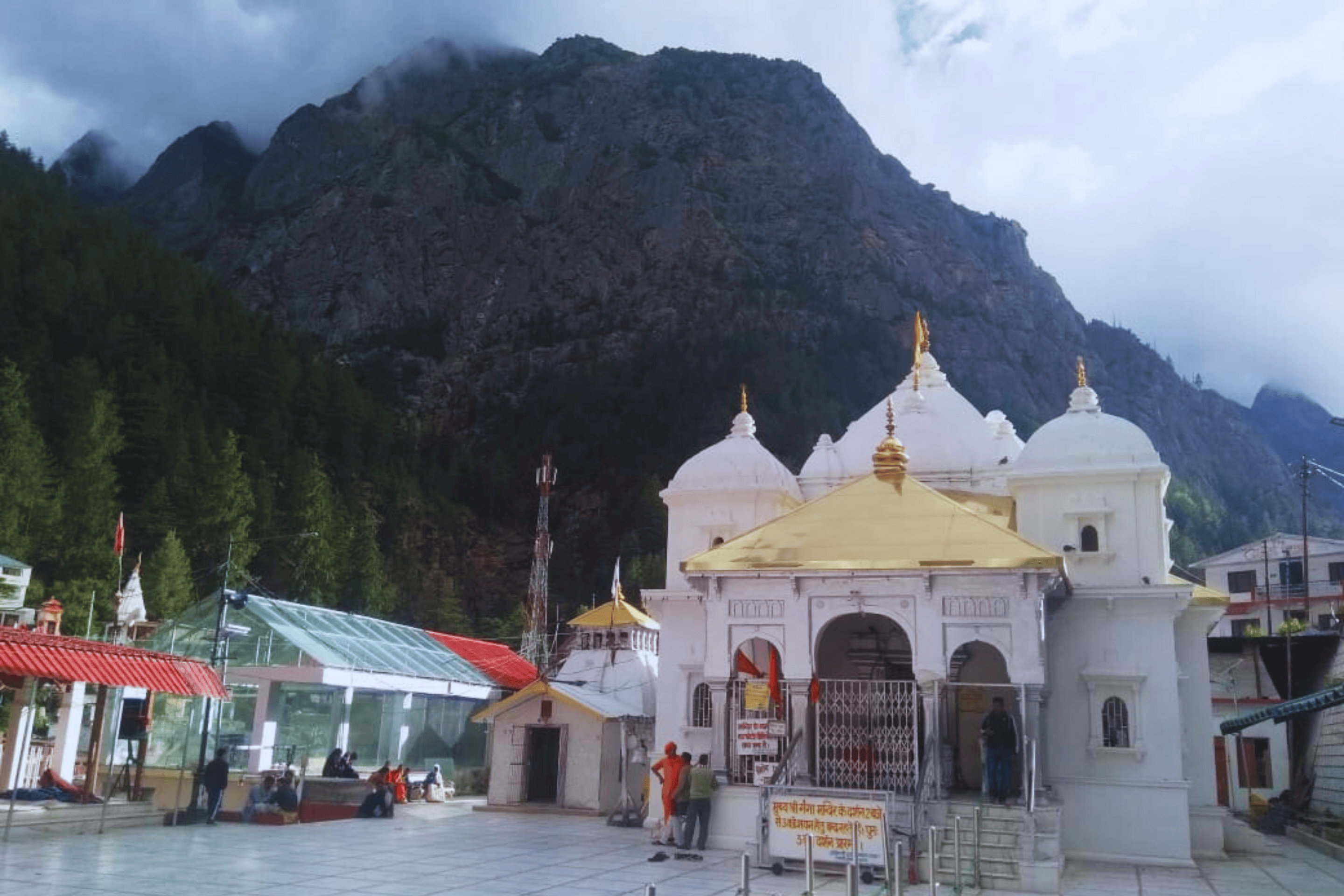 Kedartal Trek-(4800 mts) | Wanderin Man | Safest Trekking Trip Organizer